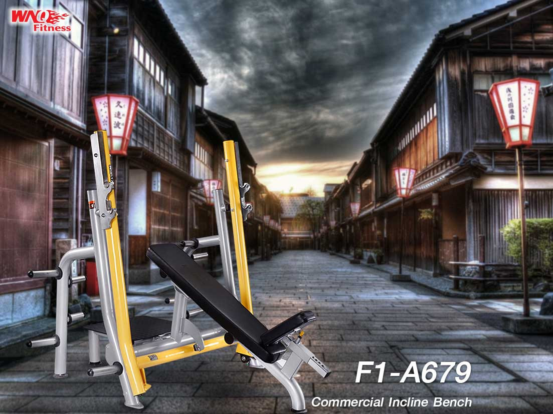 Commercial Incline Bench